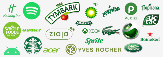 Jak dobrać kolory na stronie internetowej | Najszybsza